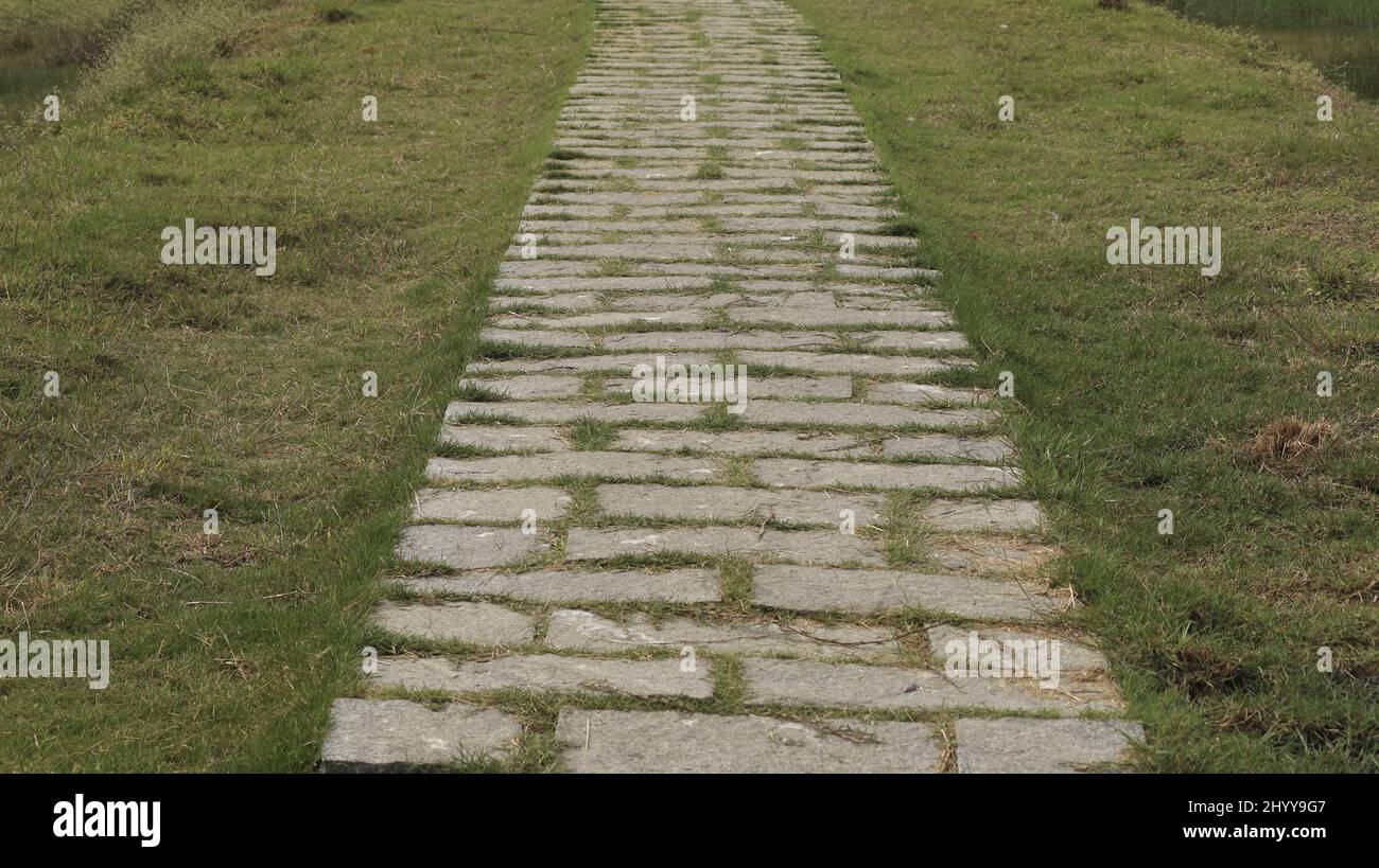 Shot of a way path made from bricks in green landscape Stock Photo - Alamy