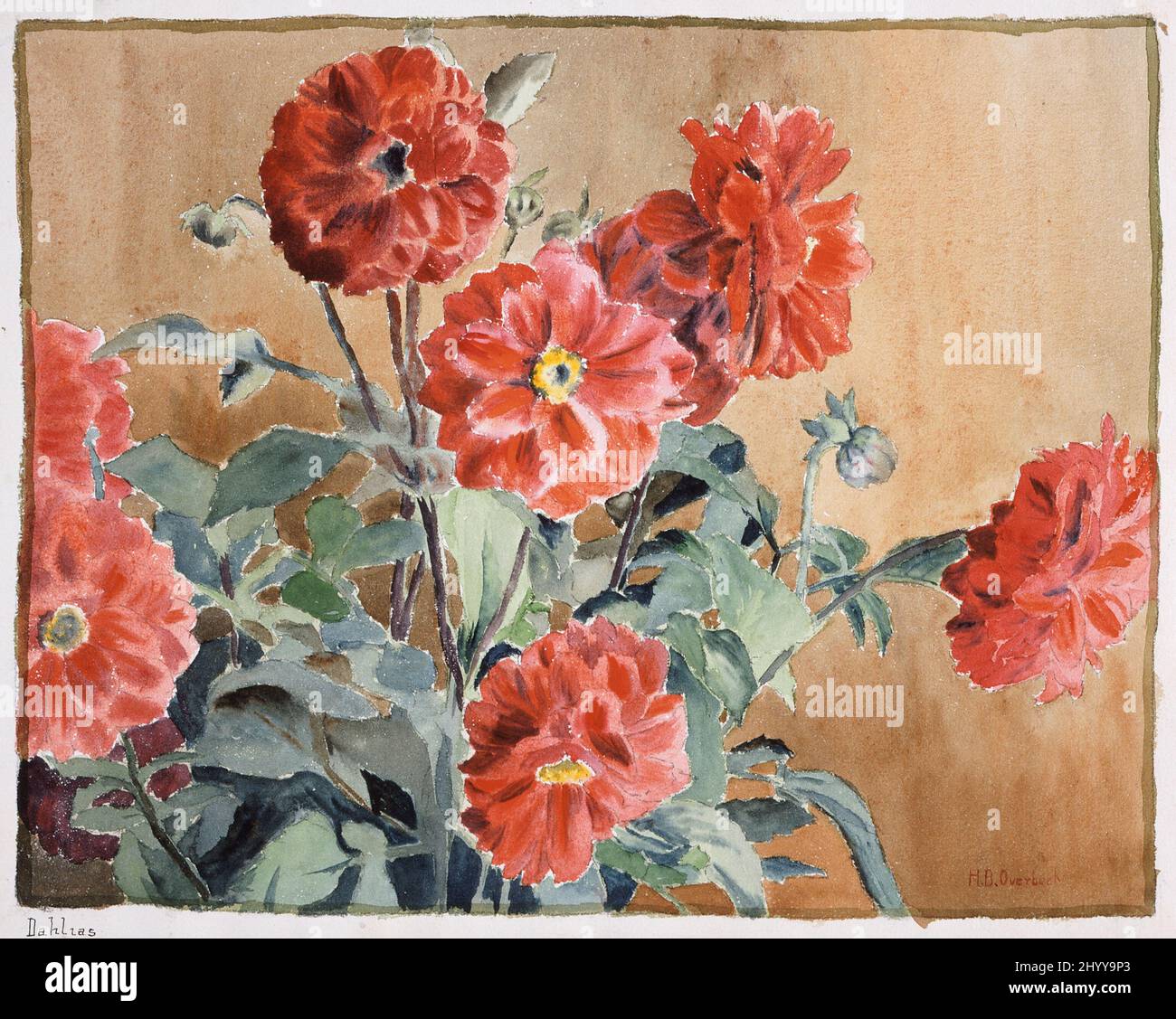 Dahlias. Hannah Borger Overbeck (United States, 1870-1931). United ...