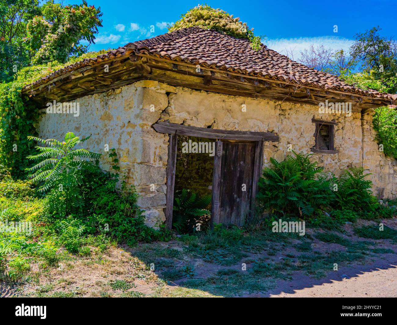 View at old Rajac wine cellar house in Serbia Stock Photo - Alamy