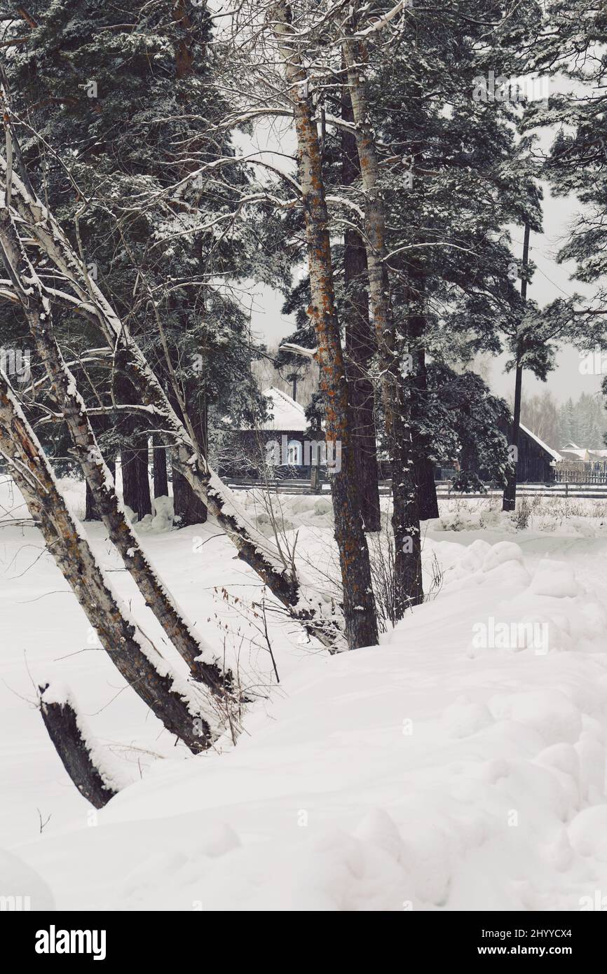 Rural wintry scenes hi-res stock photography and images - Alamy