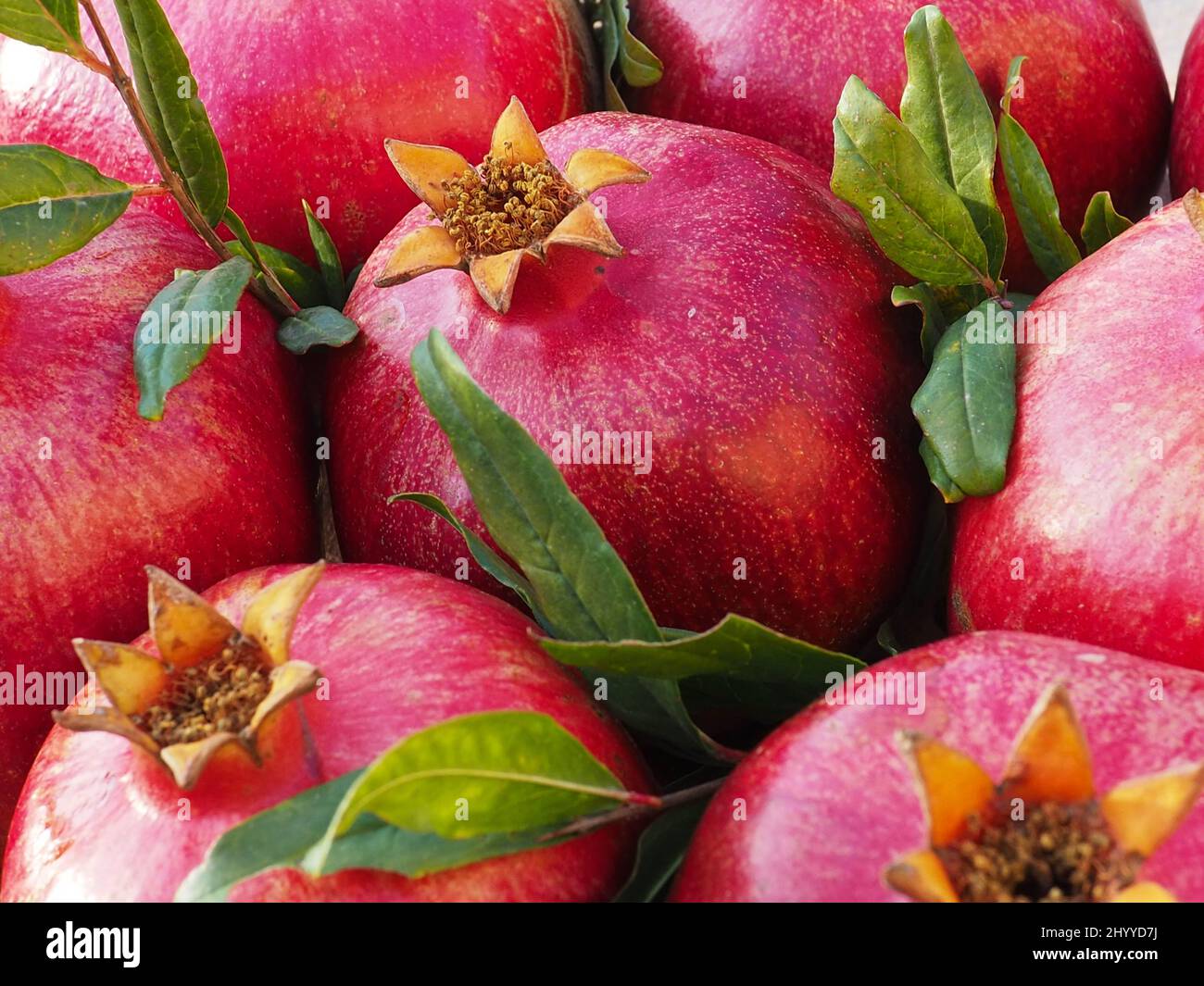 Open pomegranates with seeds hi-res stock photography and images - Alamy