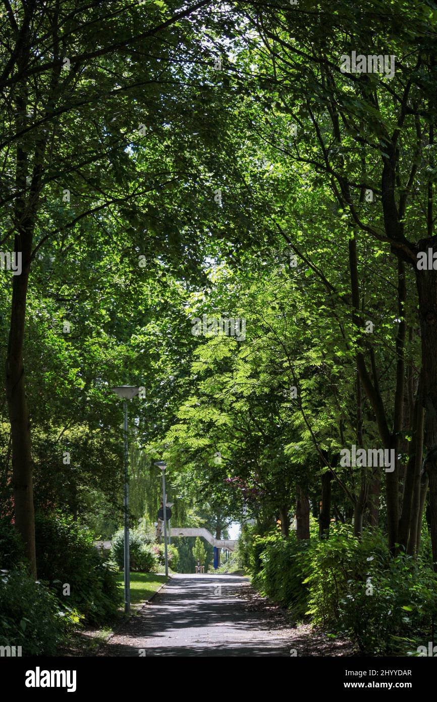 Pathway in park hi-res stock photography and images - Alamy