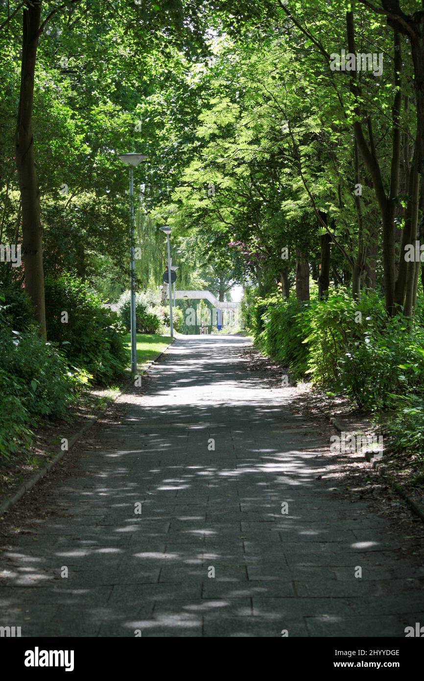Perspective view of pathway in park with lamp posts and trees along the ...