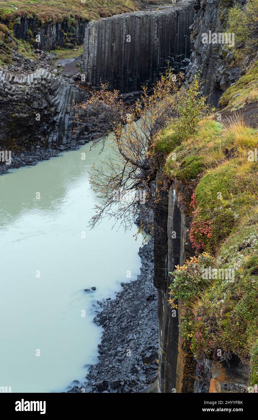 Autumn picturesque Studlagil canyon is a ravine in Jokuldalur, Eastern ...