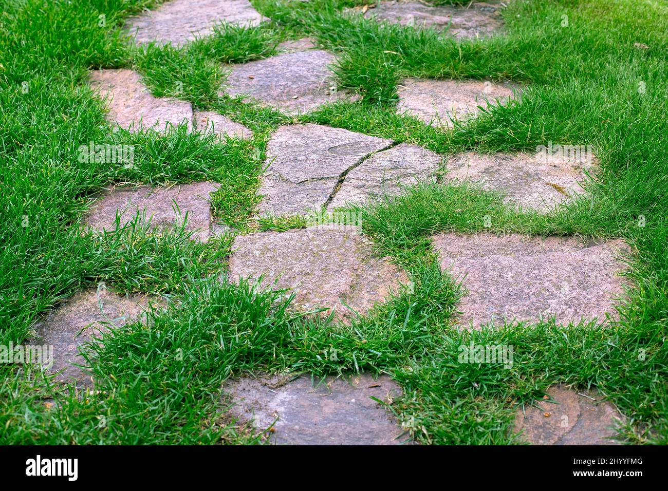 Garden path made of natural rough stone different size overgrown with ...
