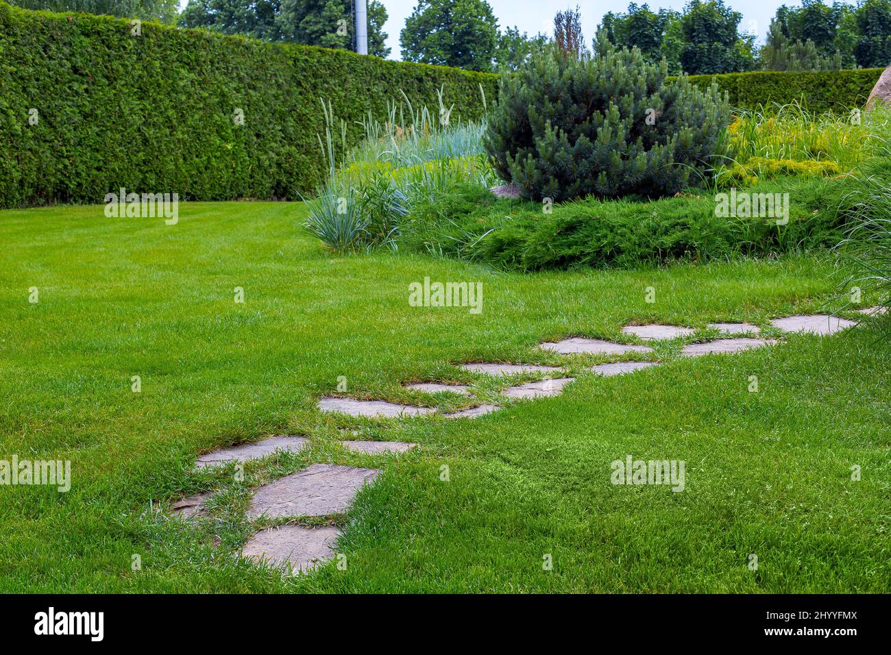 rough trail different shapes natural stone path paved in the green ...