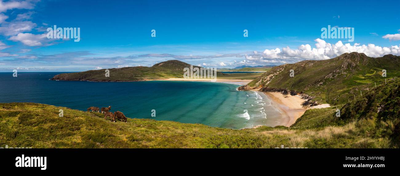 Donkeys at Tranarossan Beach, Rosguill, County Donegal, Ireland Stock ...