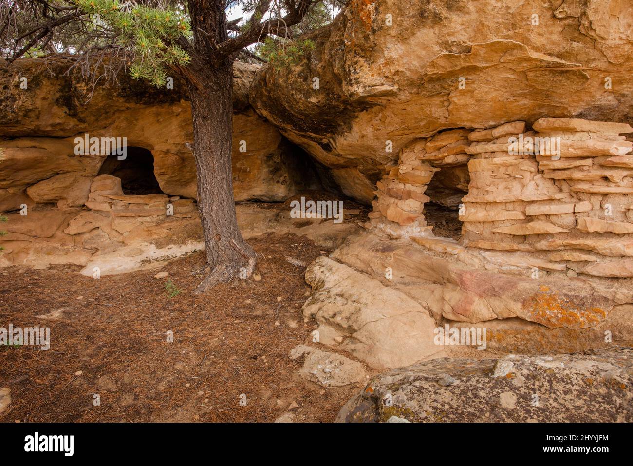 Two small Ancestral Puebloan granary ruins under a ledge in the Grand ...