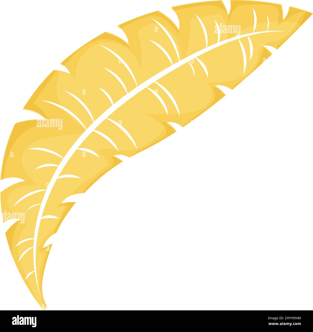 Isolated colored feather decoration cartoon style Vector Stock Vector ...