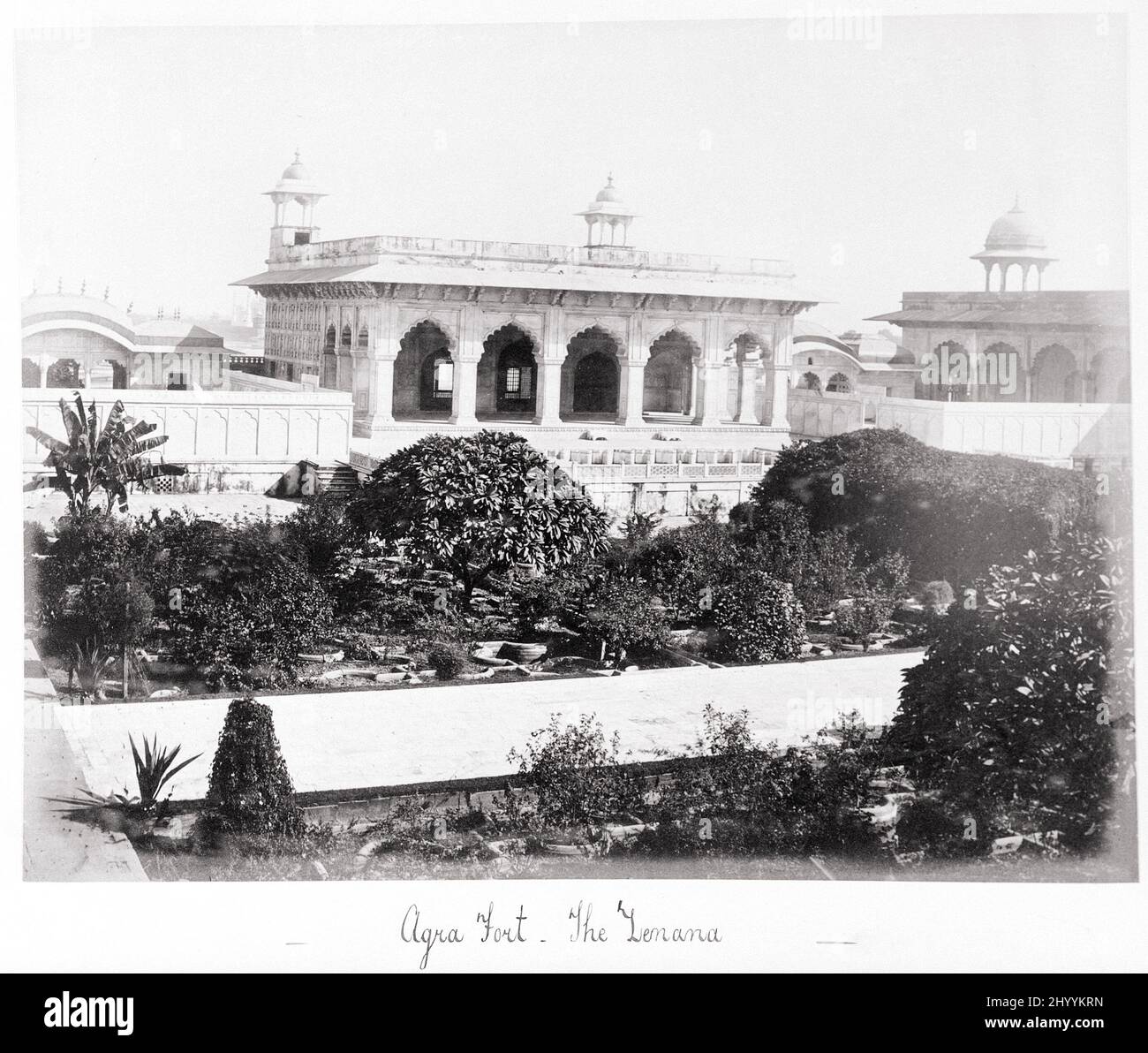 Albumen silver photographs Cut Out Stock Images & Pictures - Alamy