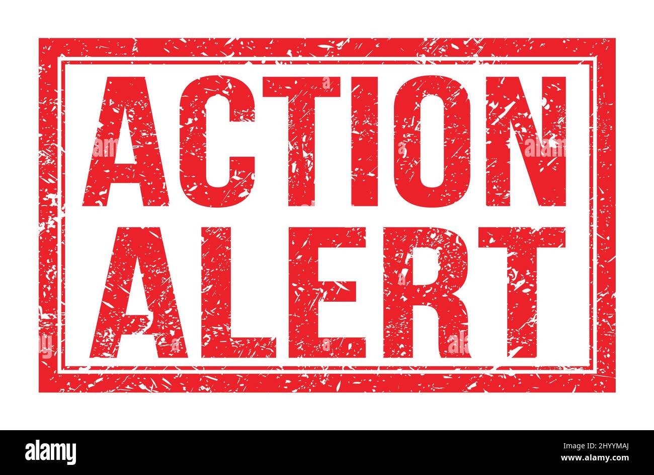 ACTION ALERT, words written on red rectangle stamp sign Stock Photo - Alamy