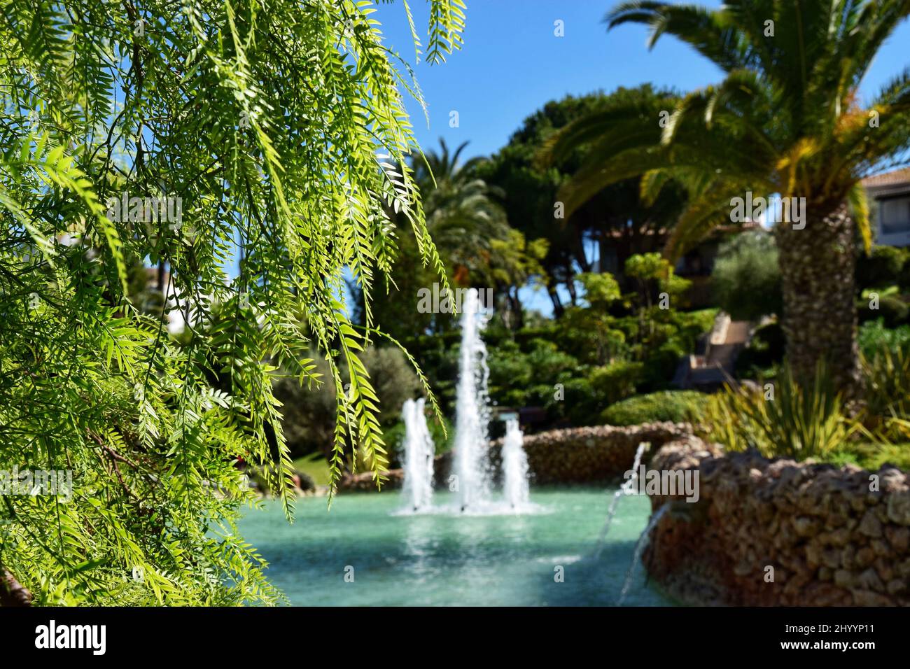 Little fountain behind a tree Stock Photo - Alamy