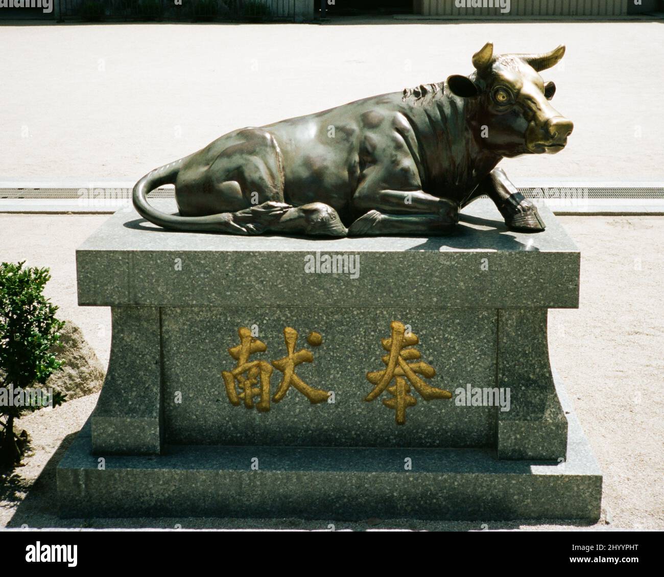 Bull statue in Fukuoka Japan Stock Photo - Alamy