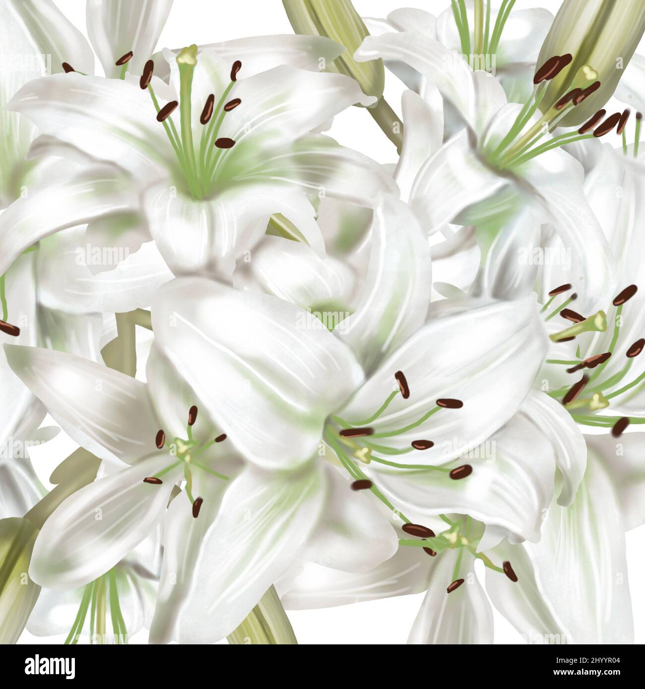 Watercolor realistic white lilies. Illustration of a bouquet of lilies ...