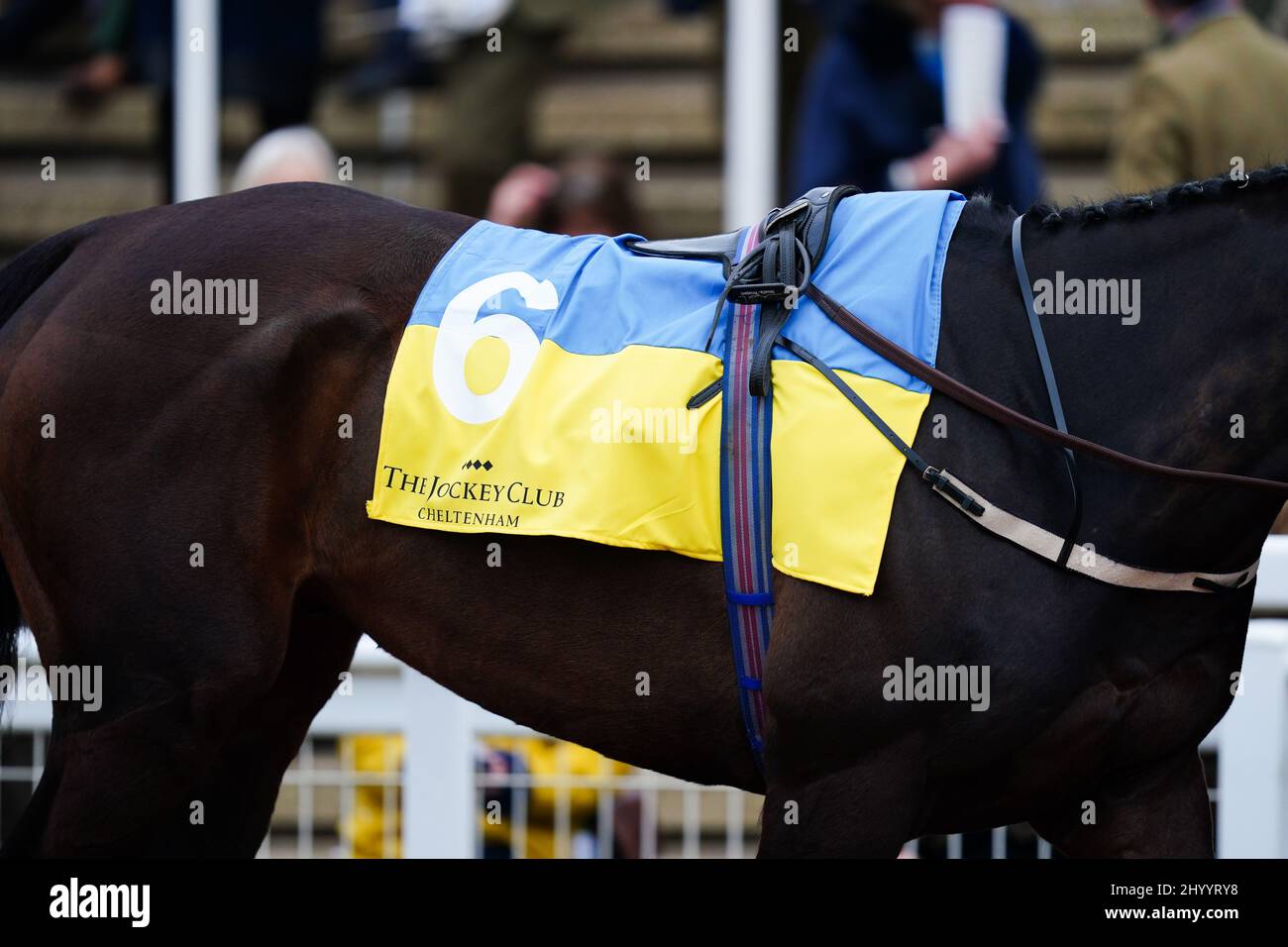 A saddle cloth featuring the colours of the Ukraine flag during day one ...