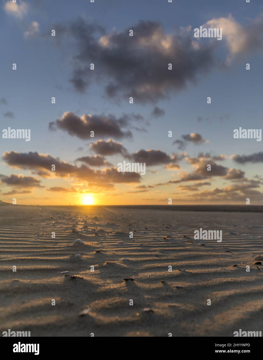 Aerial shot of the beach of Atlantic Sea during the sunset Stock Photo ...