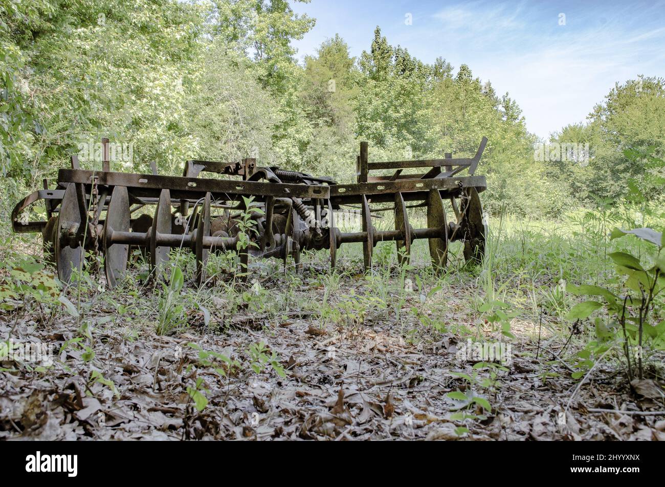 Old rusty harrow machine in a grassy field surrounded by trees Stock ...