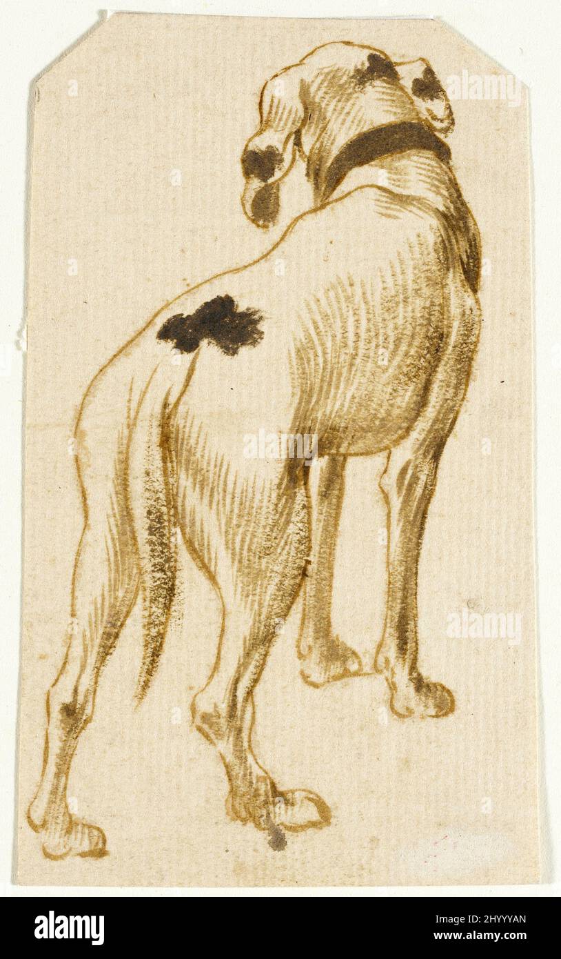 Set of Three Studies of Dogs Stock Photo - Alamy