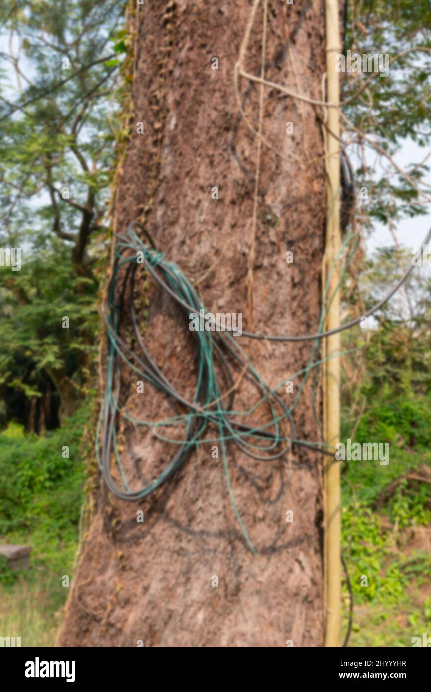 Blurred image of Electrical wires embracing a tree trunk, environmental ...