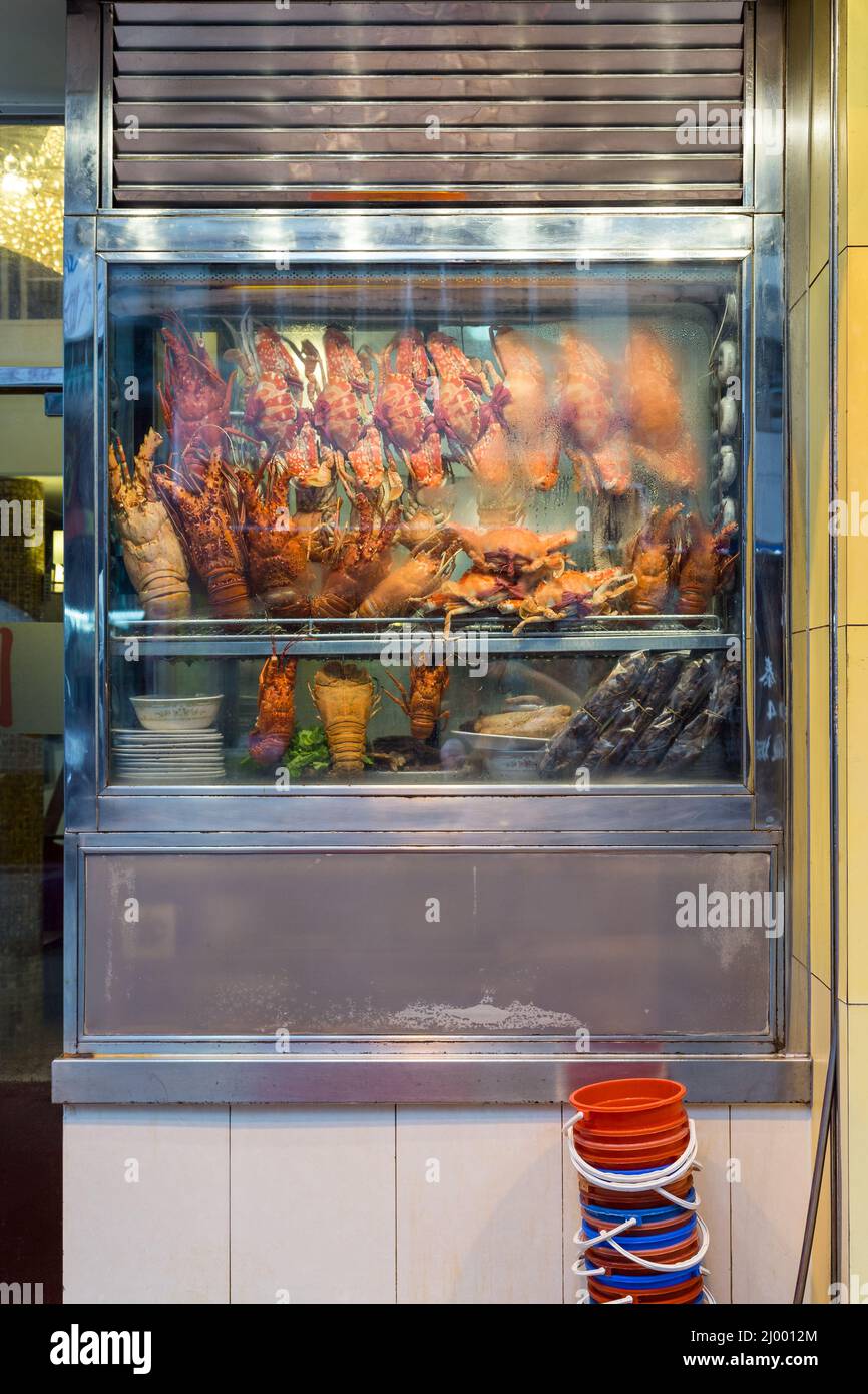 Lobsters on display hi-res stock photography and images - Alamy