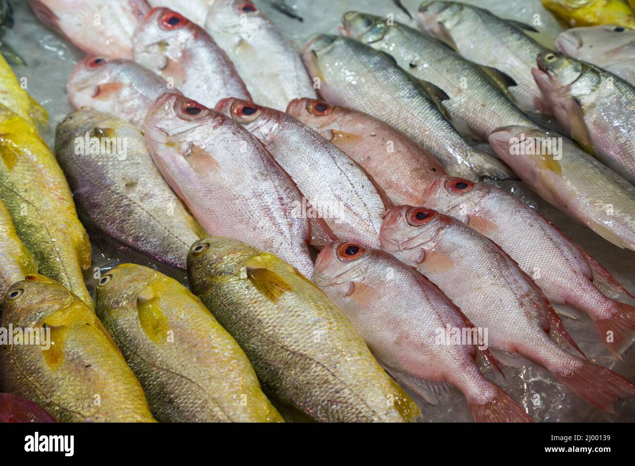 China fish market hi-res stock photography and images - Alamy