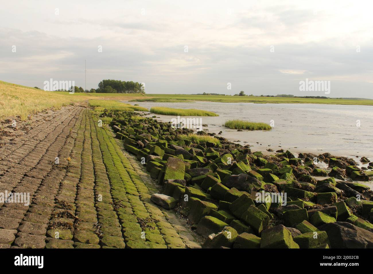 a dutch coast landscape with stones and grasses in the mudflat under ...