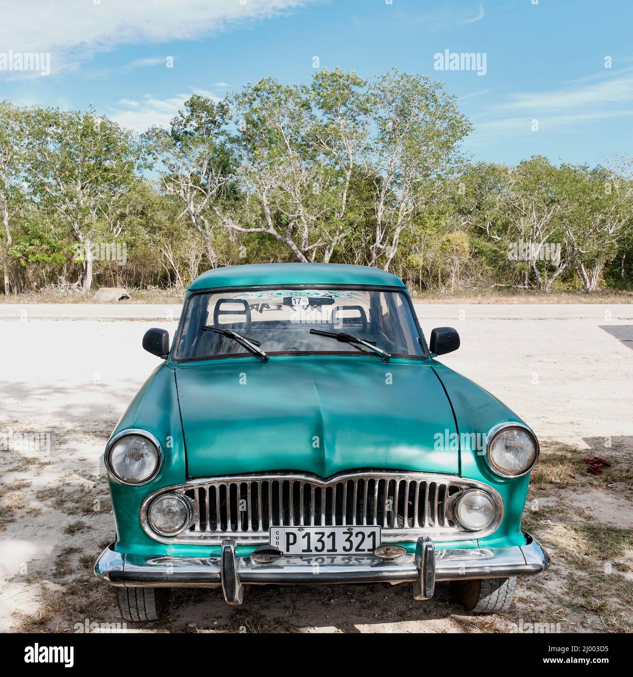 Turquoise retro car parked in natural park, Cuba. Front view Stock ...
