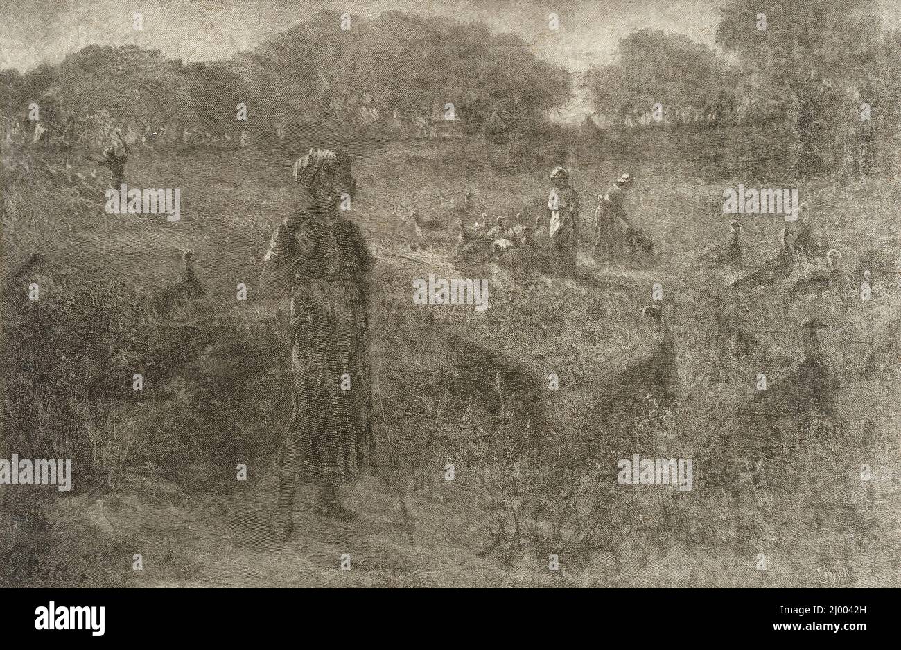 The Turkey Pasture. William Baxter Closson (United States, 1848-1926 ...