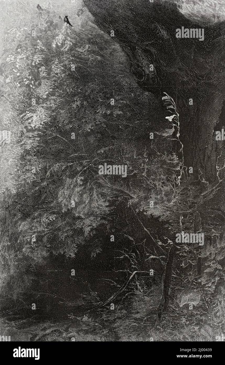 In the Heart of the Woods. William Baxter Closson (United States, 1848 ...