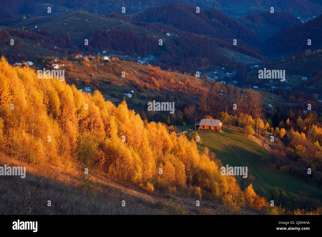 Vivid warm color hi-res stock photography and images - Alamy