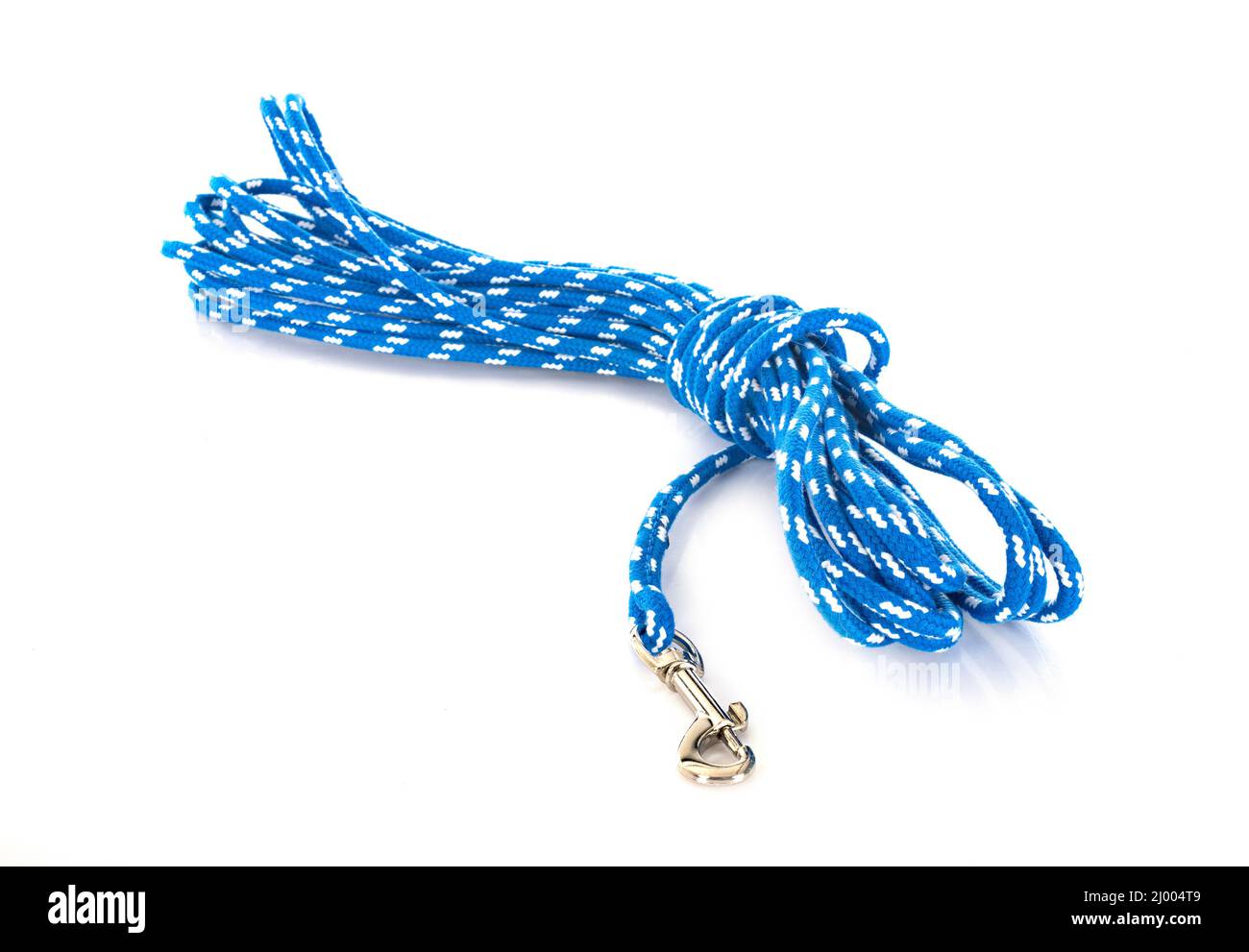 lead rope in front of white background Stock Photo - Alamy