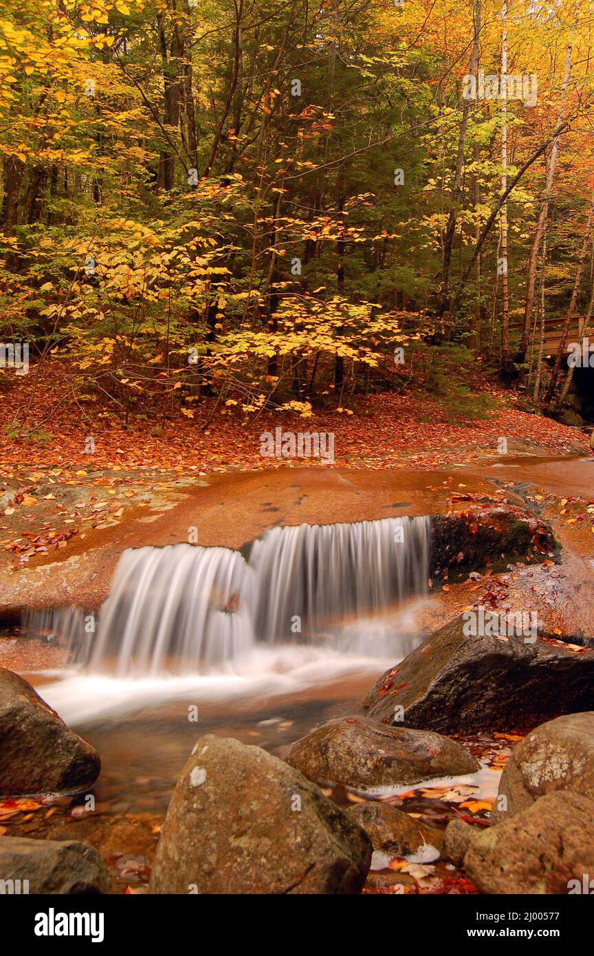 A waterfall surrounded by fall foliage Stock Photo - Alamy