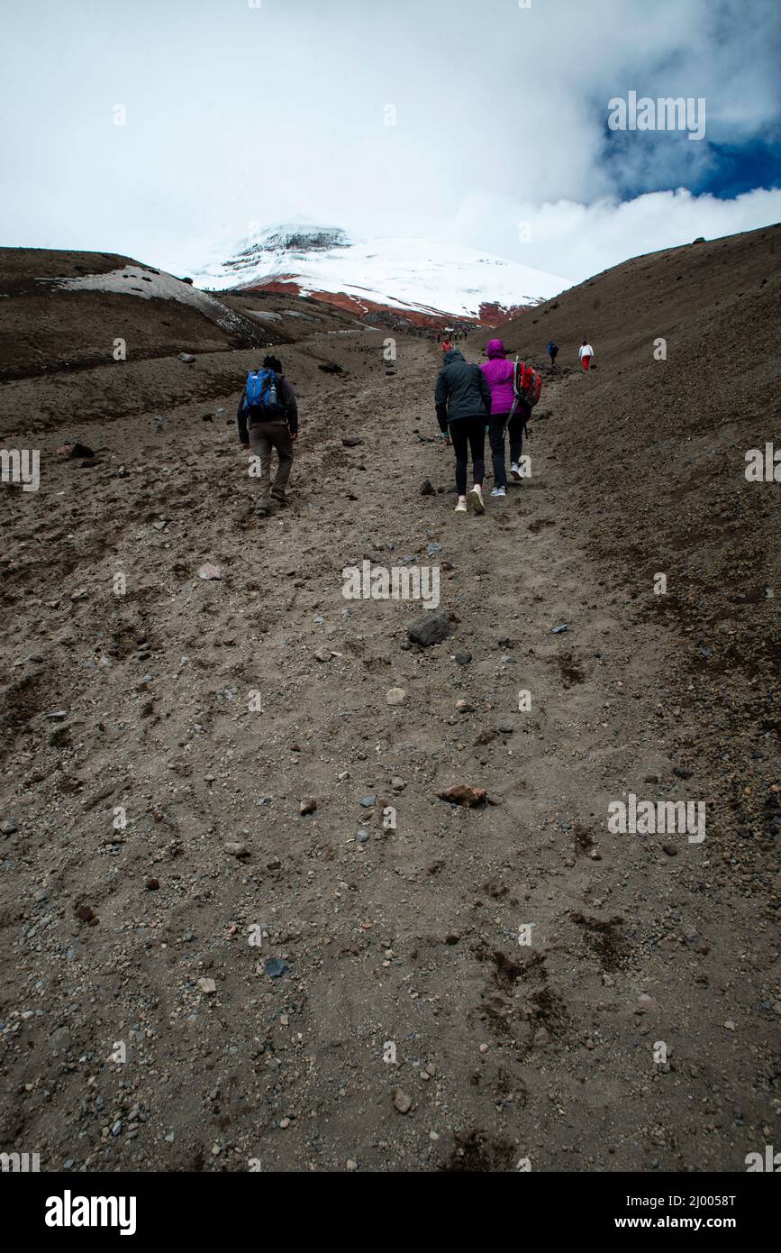 Tourists climb toward the Refugio Jos F lix Ribas on Cotopaxi, a ...