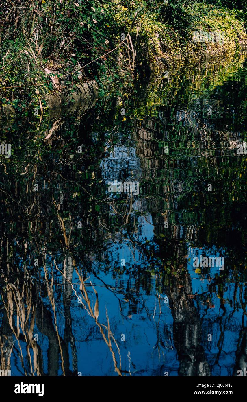 Vertical shot of the water surface with the reflection of the trees on ...