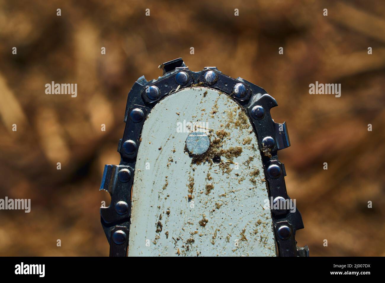 Detail of dirty used chainsaw chain for cutting wood. Selective focus ...