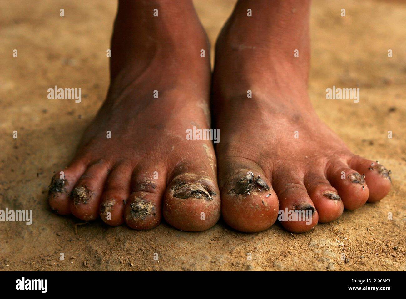 A young Yanomami standing on the Beach considered the Native Americans ...