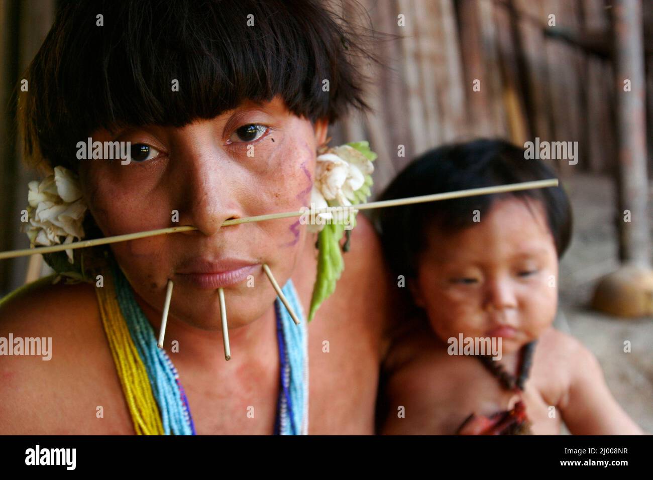 A family of the Yanomami tribe. Considered the Native Americans of ...