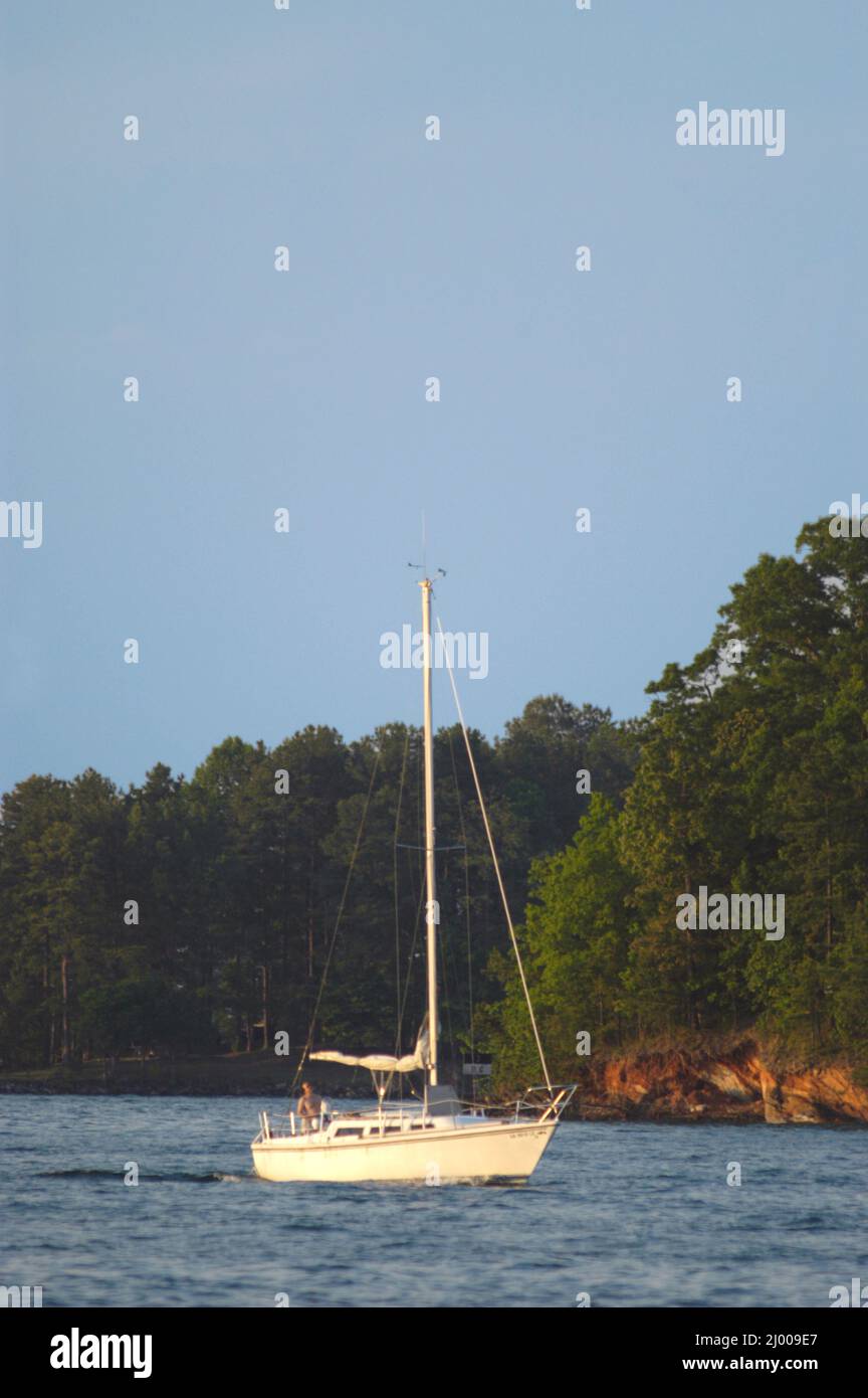Sailing on Lake in North Georgia in summer on calm day Stock Photo - Alamy