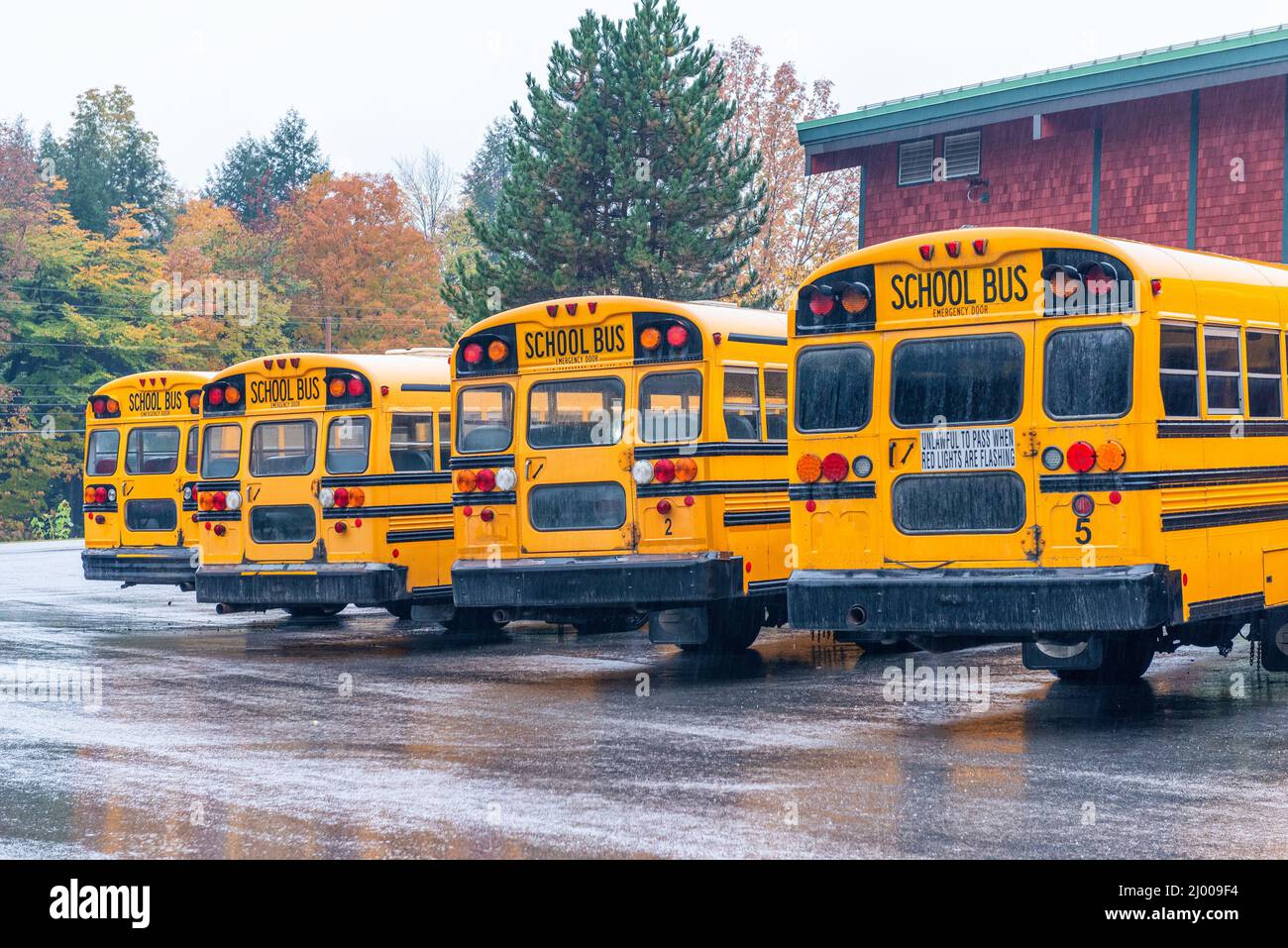 Row of school buses aligned and parked Stock Photo - Alamy
