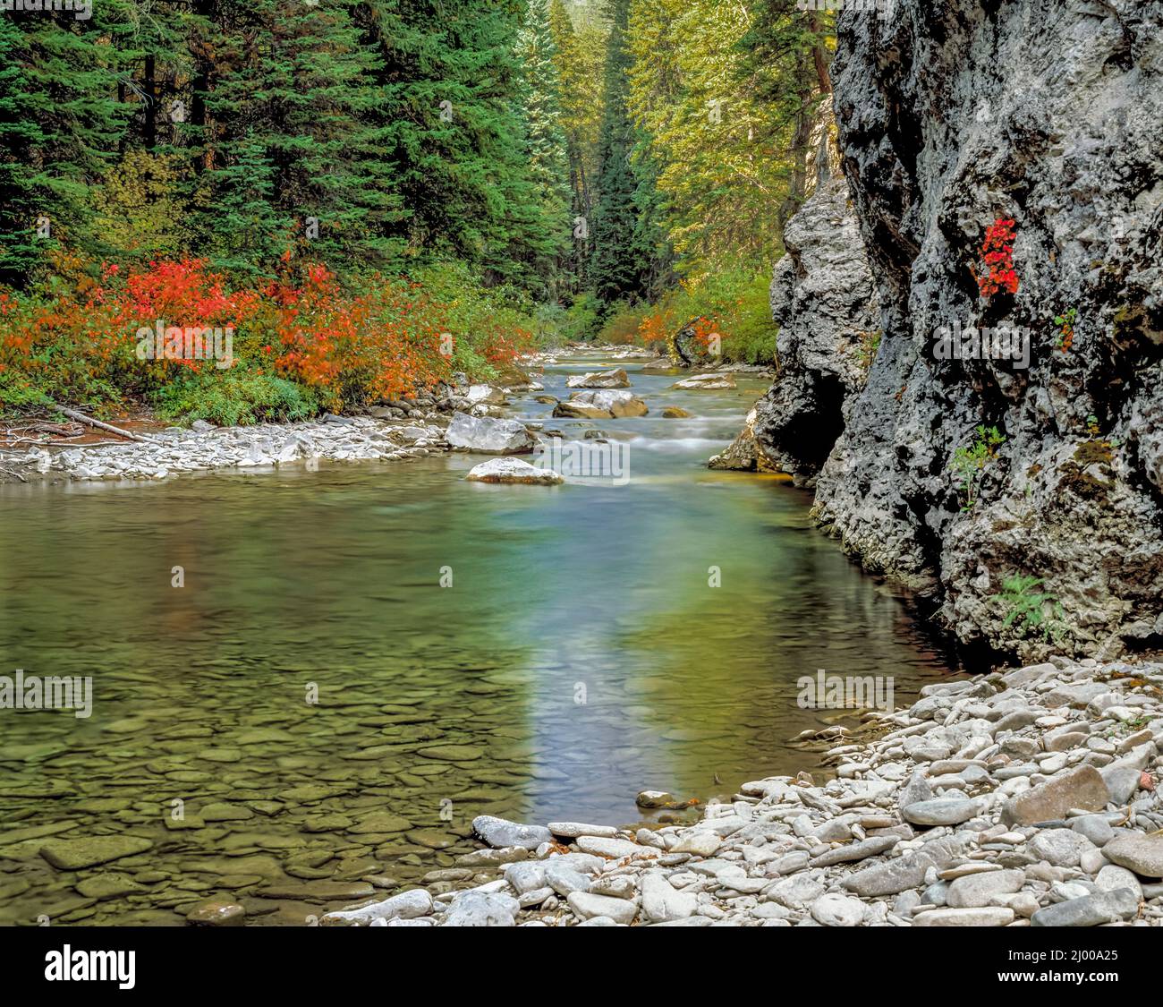 early autumn along the middle fork judith river near utica, montana ...