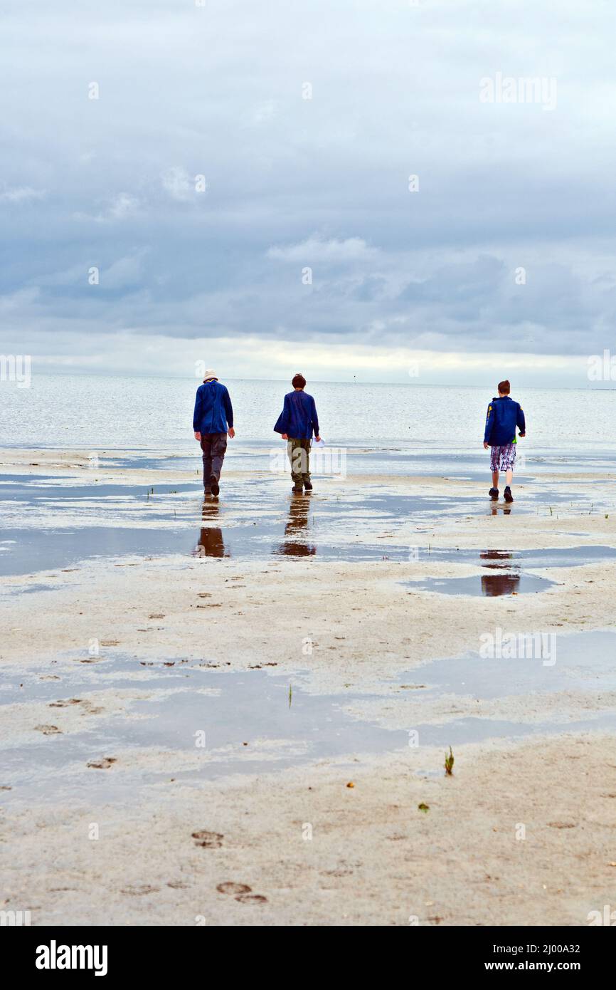 people walking in tidal flat Stock Photo - Alamy