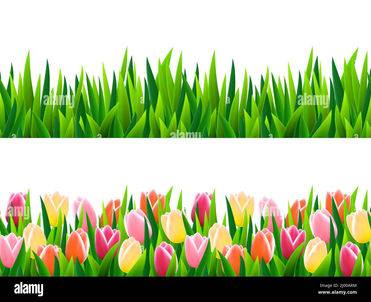 Seamless horizontal border design Stock Vector Images - Alamy