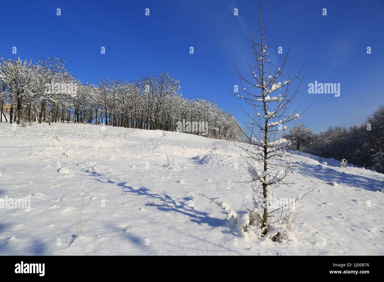Cold winter day at the top of small hill hi-res stock photography and ...