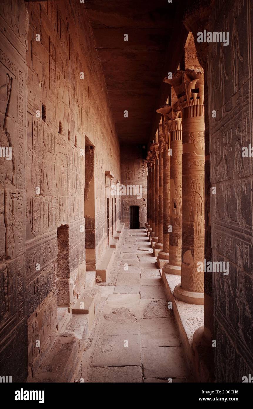 Vertical shot of an ancient Egyptian cultural heritage site from ...