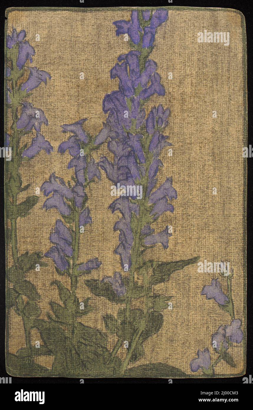 Hannah borger overbeck hi-res stock photography and images - Alamy