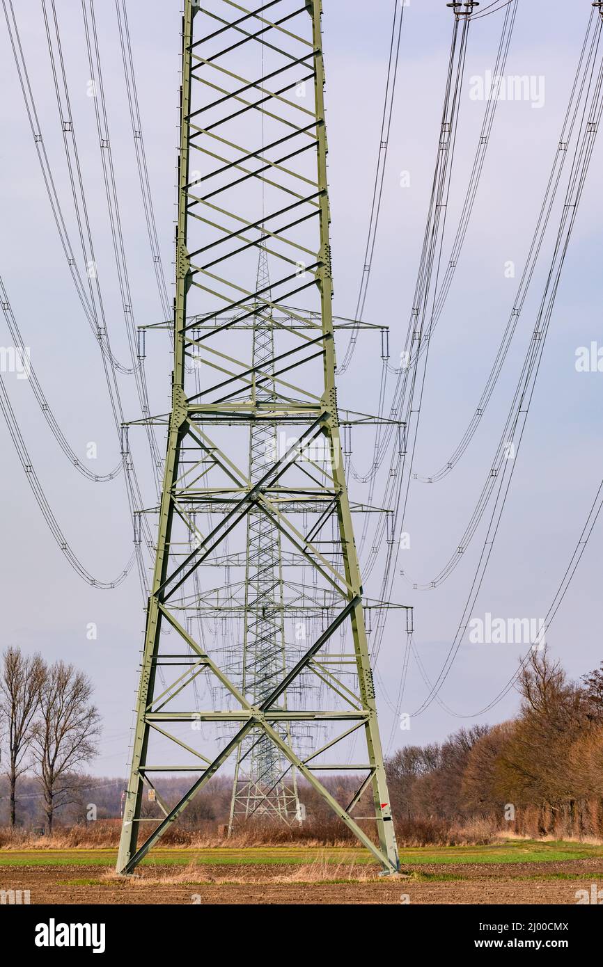 Many power poles in a row with many power lines in a field in winter ...