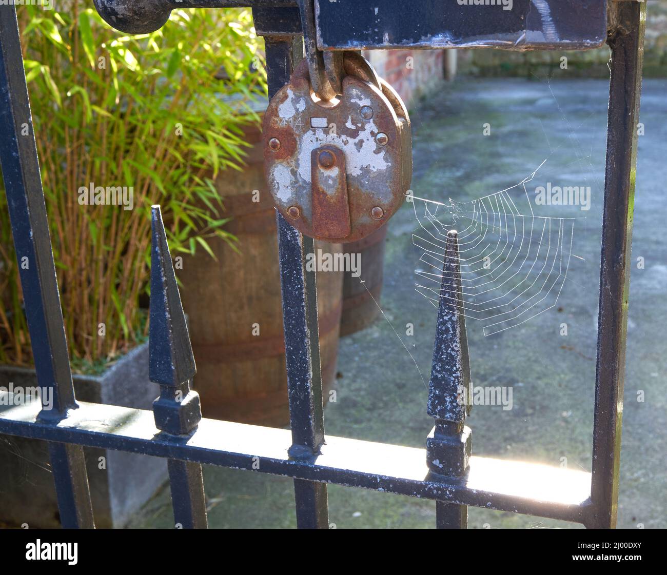 Cob web on an iron gate example Stock Photo - Alamy