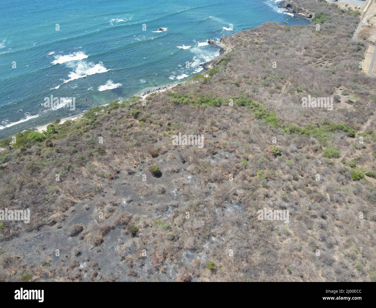 Aerial view of a landscape with bushes by the sea Stock Photo - Alamy