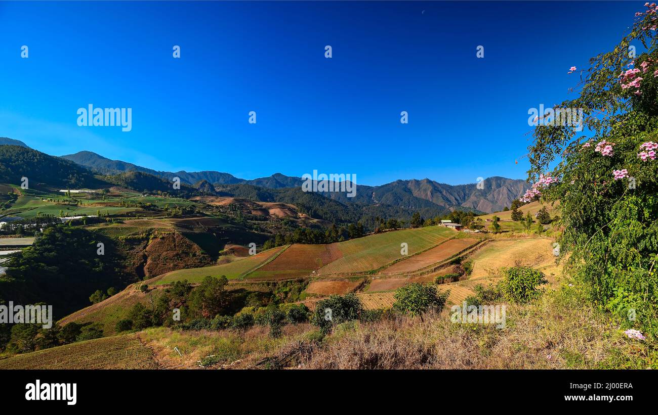 The use of highlands for agriculture. beautiful mountains in the ...