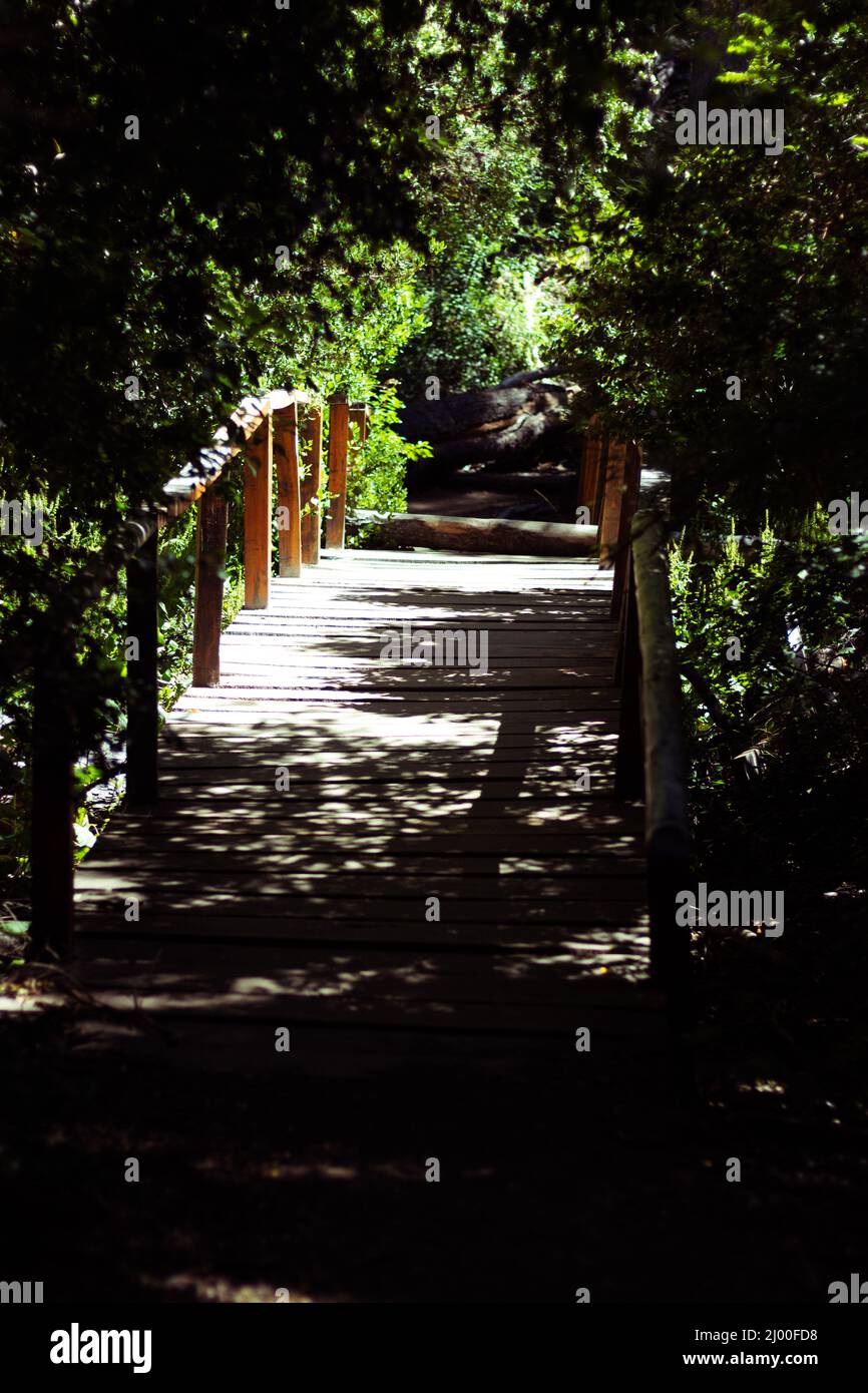 A wooden small bridge between trees shadows Stock Photo - Alamy